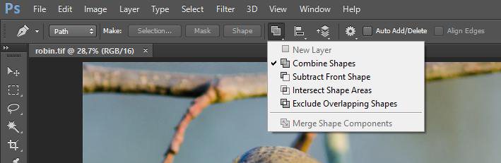 Selections with the Pen Tool in Photoshop CC
