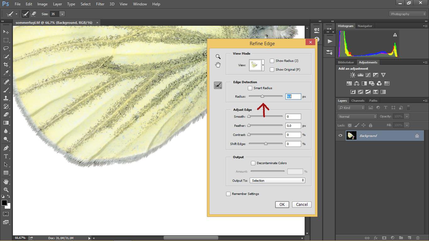 Refine edge in Photoshop CC | Improve selection