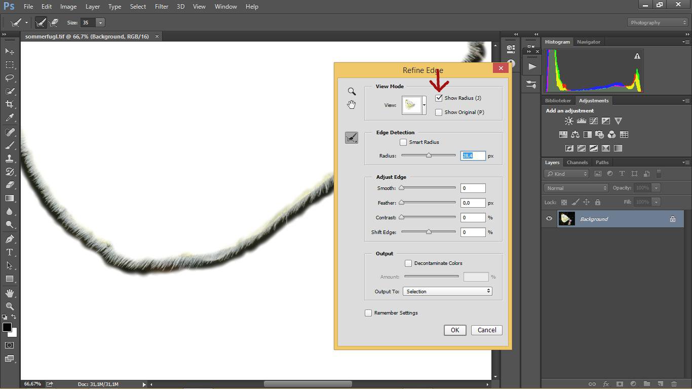 Refine edge in Photoshop CC | Improve selection